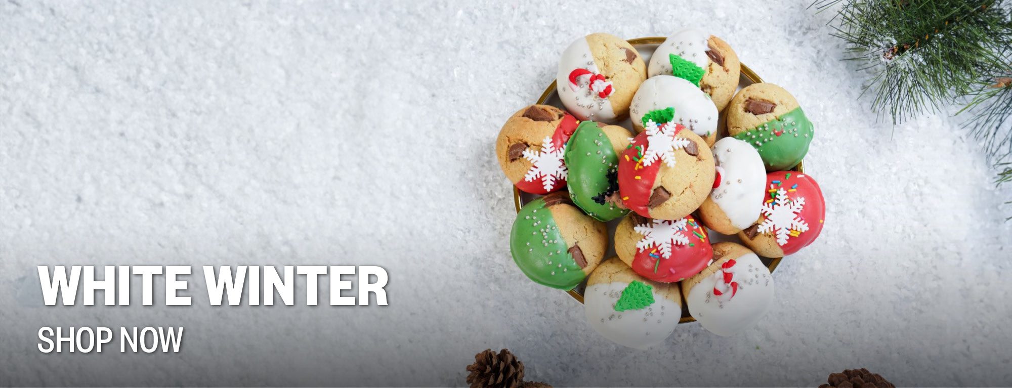 Bleems | Fresh Flowers & Gifts Delivery