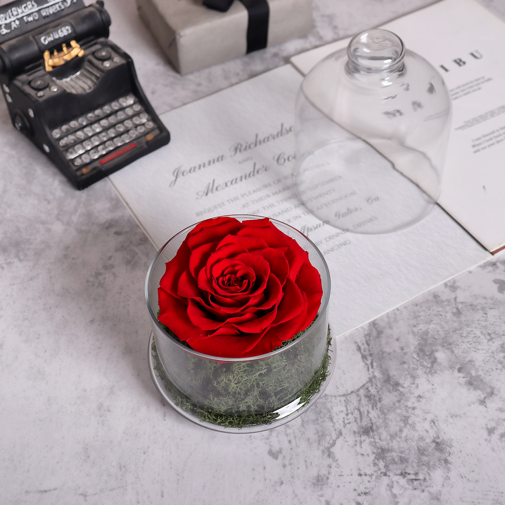 Send Preserved Flower gifts online in Saudi Arabia | Bleems Saudi Arabia
