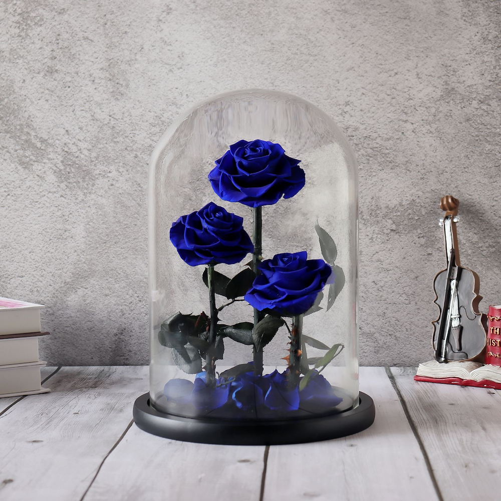 Royal Queen | Dime Roses