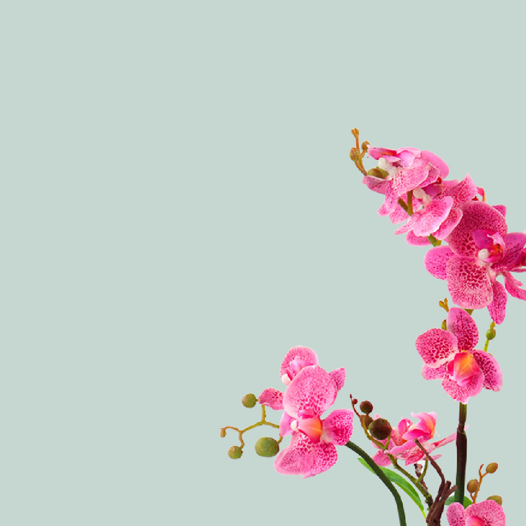 Dear Cocoa | Flowers Delivery - Kuwait | Bleems